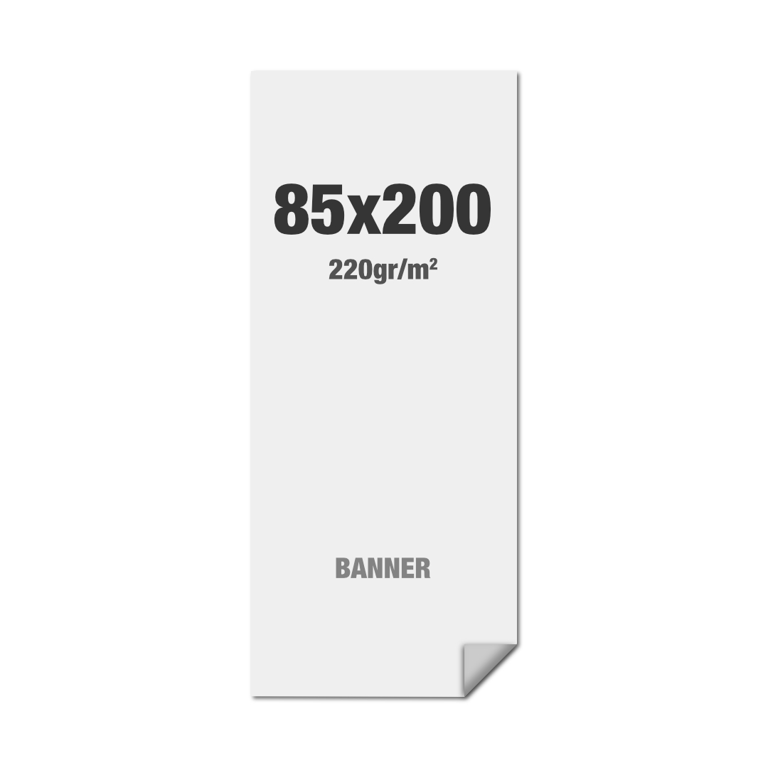 Roll-Banner Twin 85 x 200 cm | Showdowndisplays.eu